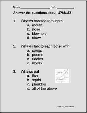 Comprehension: Whales (primary/elem) | Abcteach