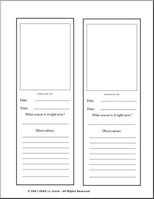 Report Form: Adopt a Tree (elementary) – Abcteach