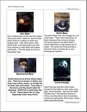 Fact Cards: Bears | Abcteach