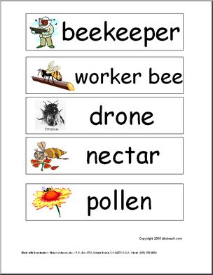 Word Wall: Bees (pictures) | Abcteach