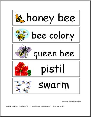 Word Wall: Bees (pictures) | Abcteach