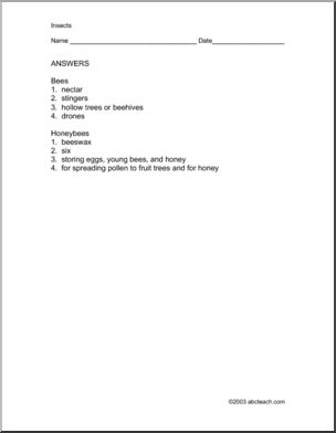 Comprehension: Bees (elementary) | Abcteach