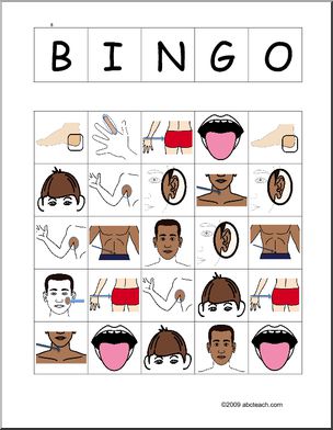 Spanish: Las partes del cuerpo-- 5 Tarjetas de Bingo (A) | Abcteach