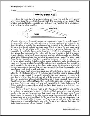 Comprehension: Birds (upper elem/ middle) – Abcteach