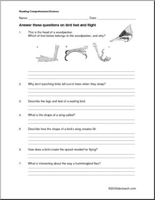 Comprehension: Birds (upper elem/ middle) – Abcteach