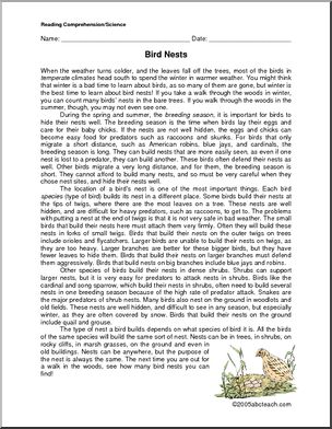 Comprehension: Birds (upper elem/ middle) – Abcteach