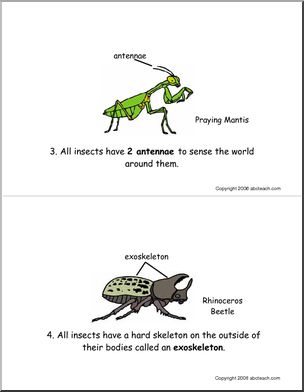 Booklet: Insects (elementary) – Abcteach