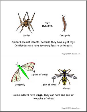 Booklet: Insects (elementary) – Abcteach