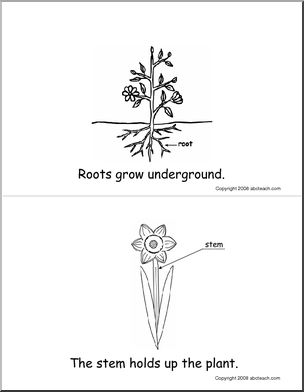 Booklet: Parts of a Plant (primary/elem) -b/w – Abcteach