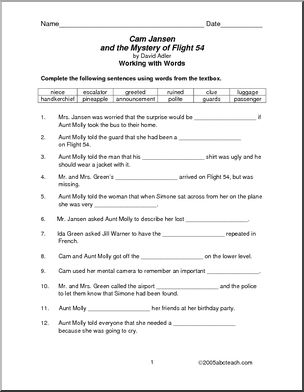 Cam Jansen and the Mystery of Flight 54 (elementary)’ Book – Abcteach