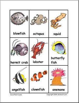 Vocabulary Cards: Coral Reef (color) – Abcteach