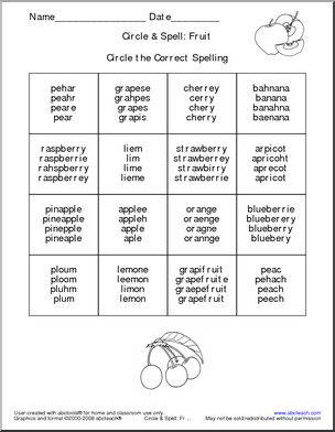 Elections (boxes)' Circle & Spell I abcteach.com