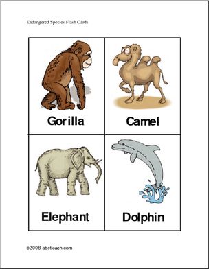 Flashcards: Endangered Animals (primary/elem) – color – Abcteach