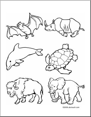 Diorama: Endangered Species (upper elem) – Abcteach