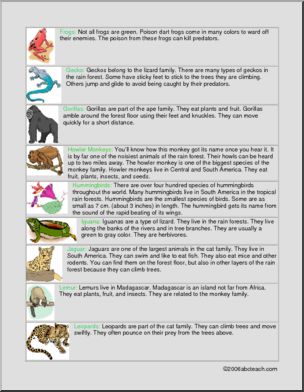 Fact Cards: Rain Forest Animals (elem/upper elem) | Abcteach