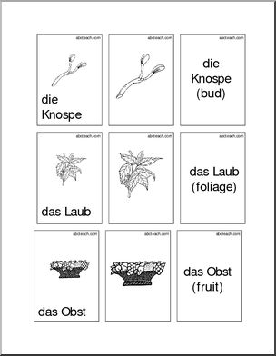 German: Flashcards – Garden – Abcteach