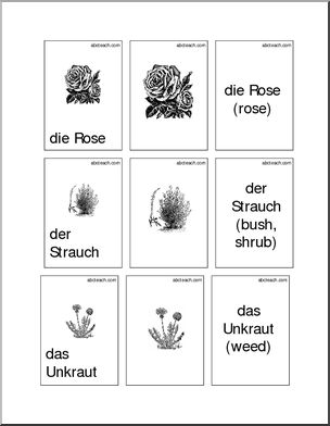 German: Flashcards – Garden – Abcteach