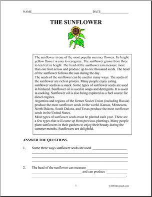Comprehension: Sunflowers (elementary) – Abcteach