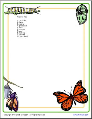 Border Paper: Butterfly – Abcteach
