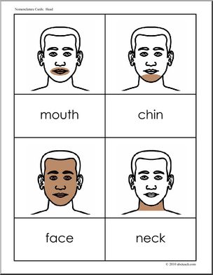Nomenclature Cards: Human Body; Head (2) (b/w) | Abcteach