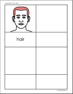 Nomenclature Cards: Human Anatomy Head (red-highlighted) (primary/elem ...