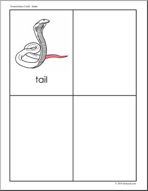 Nomenclature: Animal Anatomy Snake (red-highlight) | Abcteach