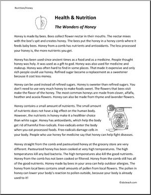 Comprehension: Nutrition The Wonders of Honey (elementary) | Abcteach