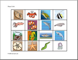 Bingo Cards: Ocean Animals (elem) - color | Abcteach