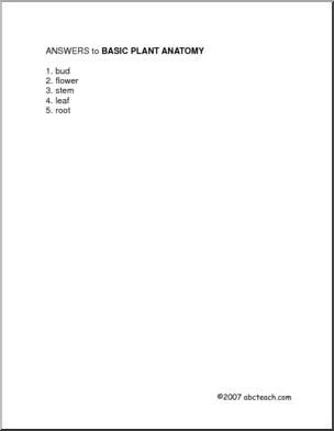 Worksheets: Plant Anatomy (elem/upper elem) | Abcteach