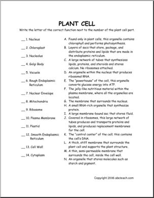 Interactive: Notebook: Science--Plant Cell (upper el-middle-high ...