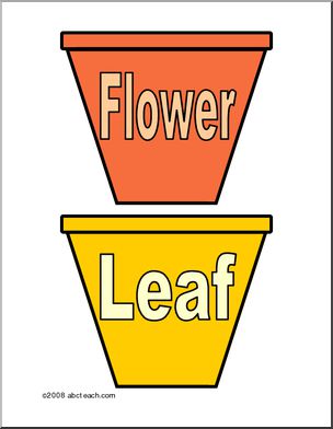 Sorting Game: Plant Parts (color) | Abcteach