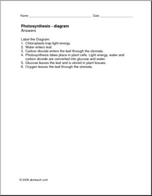 Diagram: Photosynthesis (upper elem/middle) – Abcteach