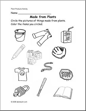 Activity: Plant Products (elem/upper elem) | Abcteach