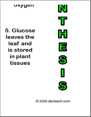 Large Poster: Photosynthesis in a Leaf (color) – Abcteach