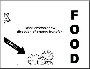 Large Poster: Simple Food Web (b/w) | Abcteach