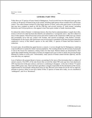 Comprehension: Lemurs (middle/high) | Abcteach