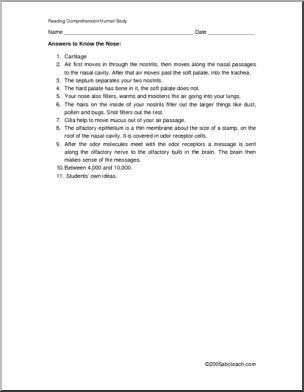 Comprehension: Know the Nose (elem/ upper elem) | Abcteach