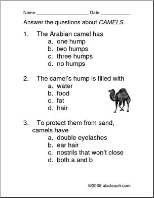 Comprehension: Camels (primary/elem) | Abcteach