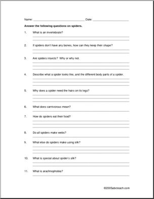 Comprehension: Spiders (upper elementary) | Abcteach