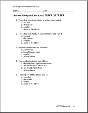 Comprehension: Types of Trees (elem/ upper elem) | Abcteach