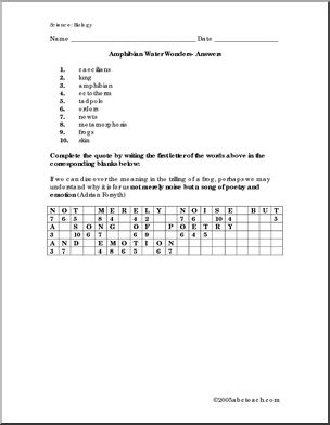 Worksheet: Amphibians (upper elem/middle) – Abcteach