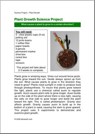 Science Project: Catapults (upper elem/middle school) – Abcteach