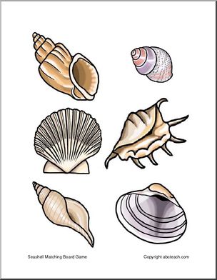Game: Seashell Matching (primary) -color | Abcteach