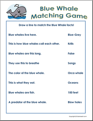 Summer Fun Packet: Blue Whale – Abcteach