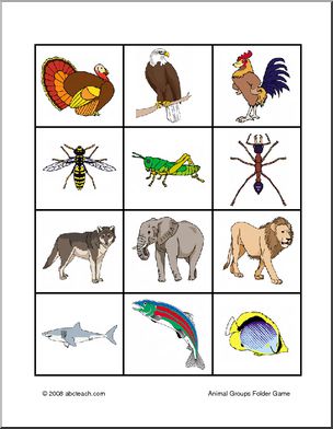 Sorting Game: Animal Groups (color) – Abcteach