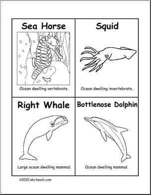 Vocabulary Cards: Water Animals (b/w) (upper elem/middle) – Abcteach