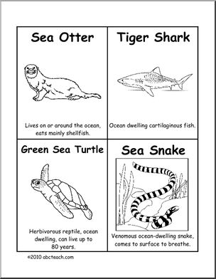 Vocabulary Cards: Water Animals (b/w) (upper elem/middle) – Abcteach