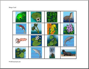 Bingo: Water Plants and Animals (color) | Abcteach