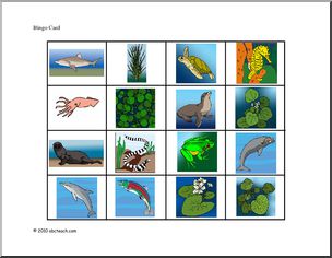 Bingo: Water Plants and Animals (color) | Abcteach