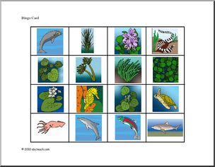Bingo: Water Plants and Animals (color) | Abcteach